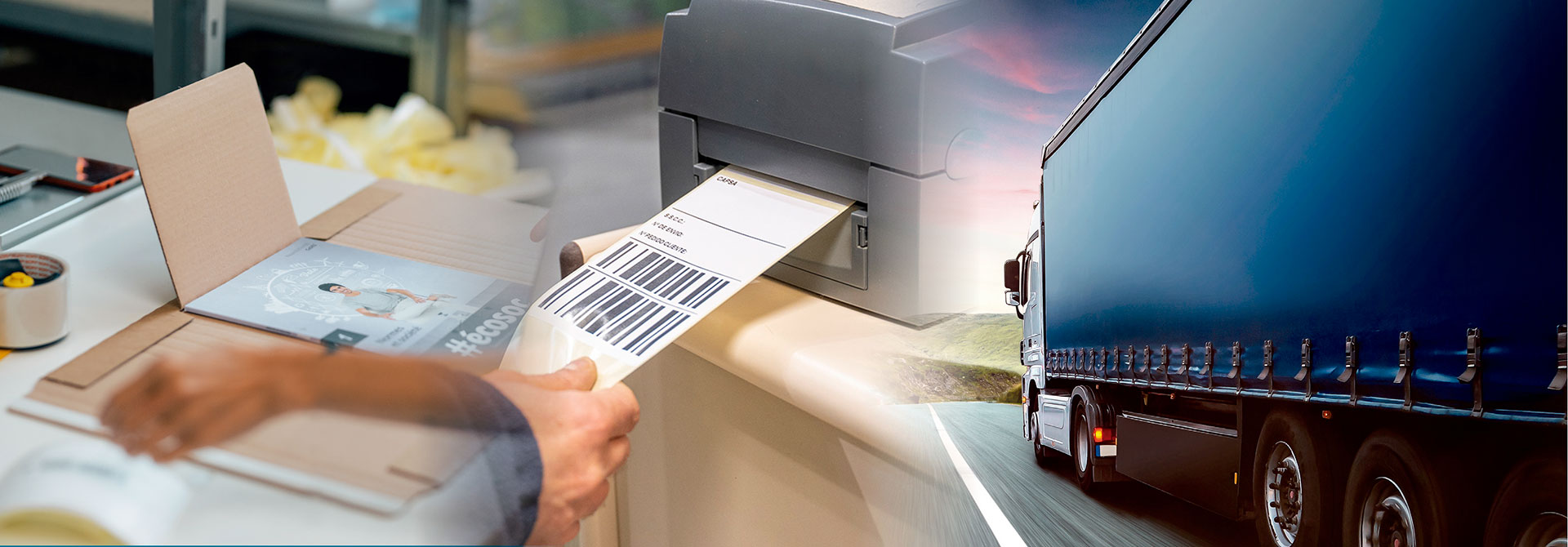 Multi-Carrier Shipping Software - Mecalux.es