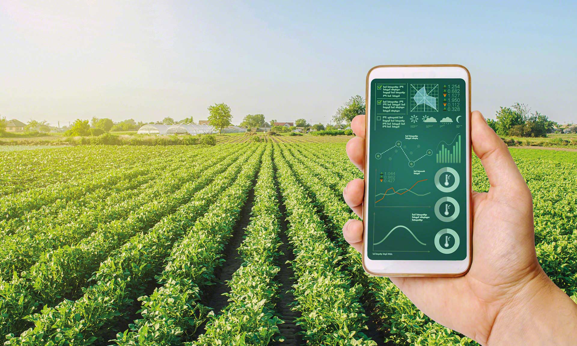 LT Distribution: digitalizar una central de compras - Mecalux.es